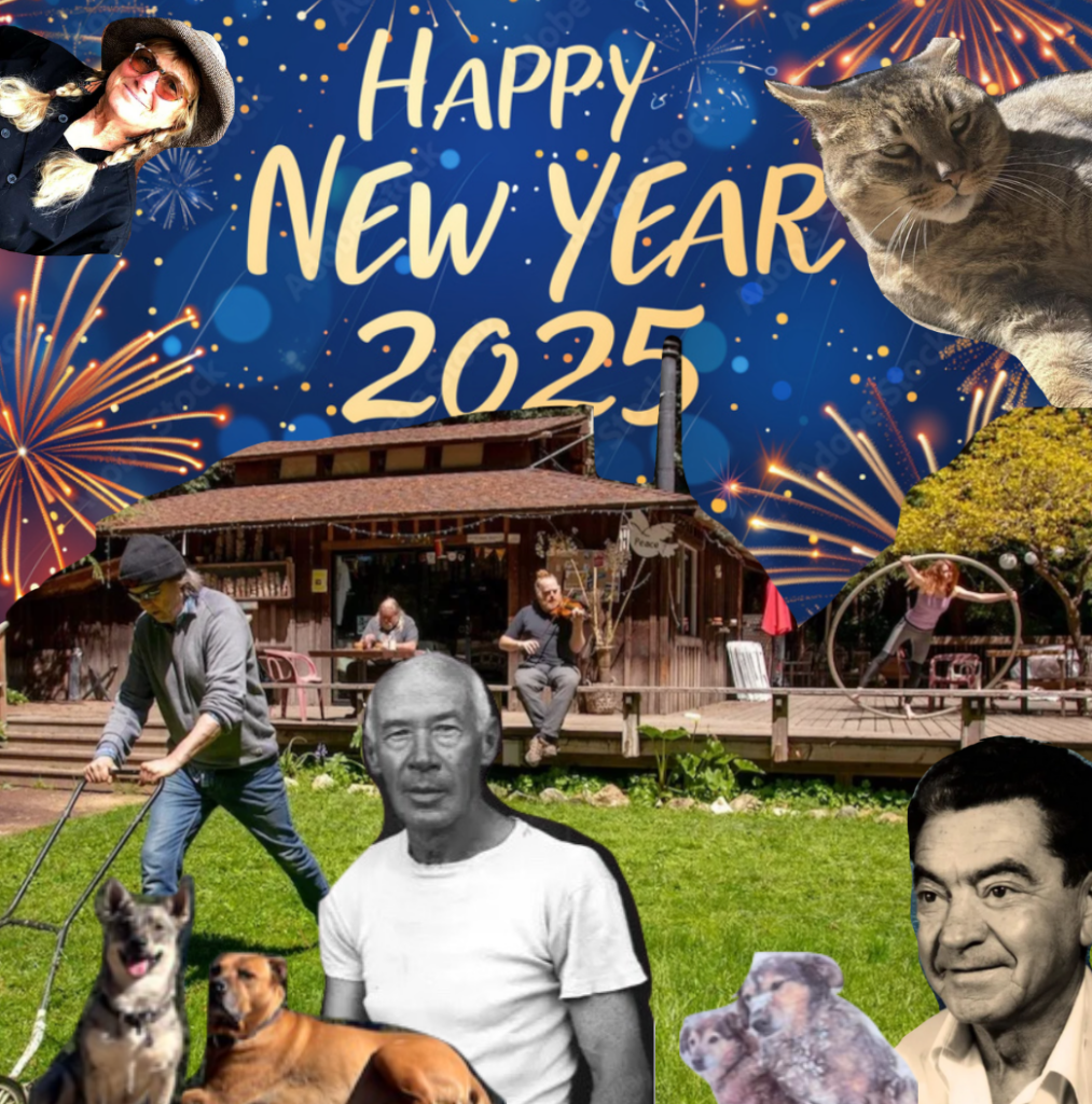 The Henry Miller Memorial Library